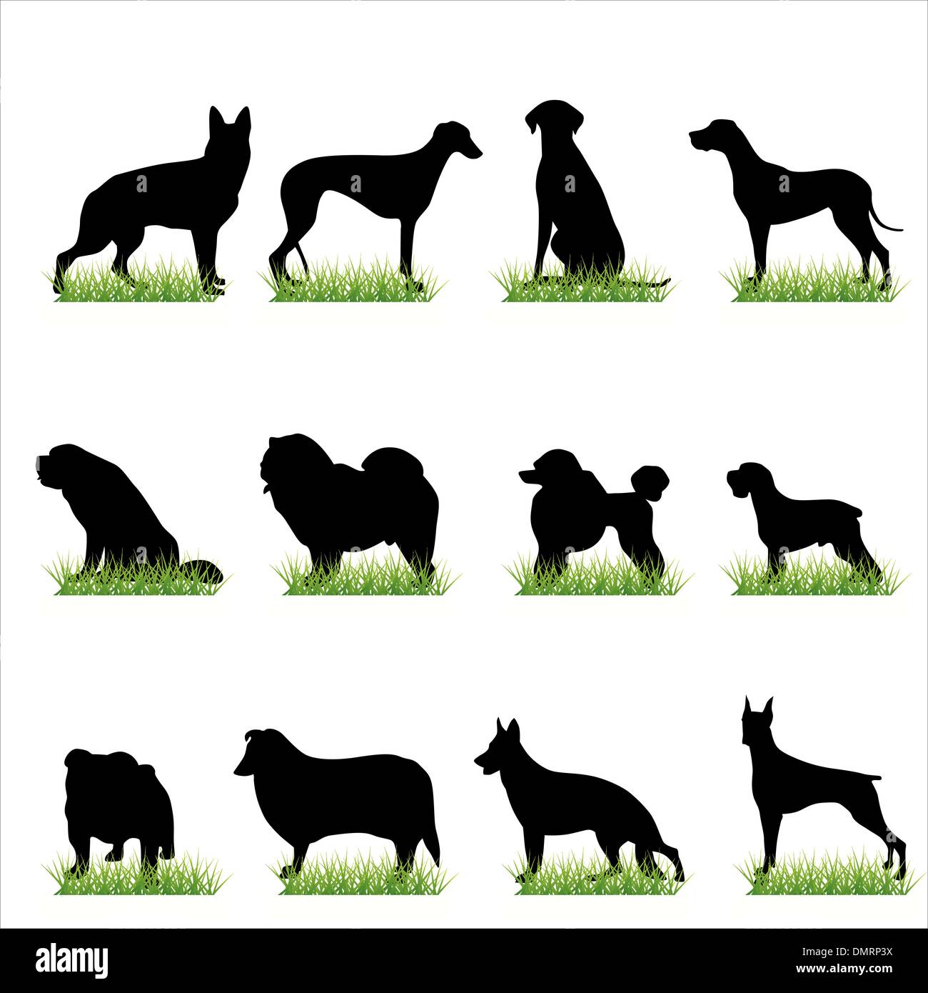12 dogs Stock Vector Images - Alamy
