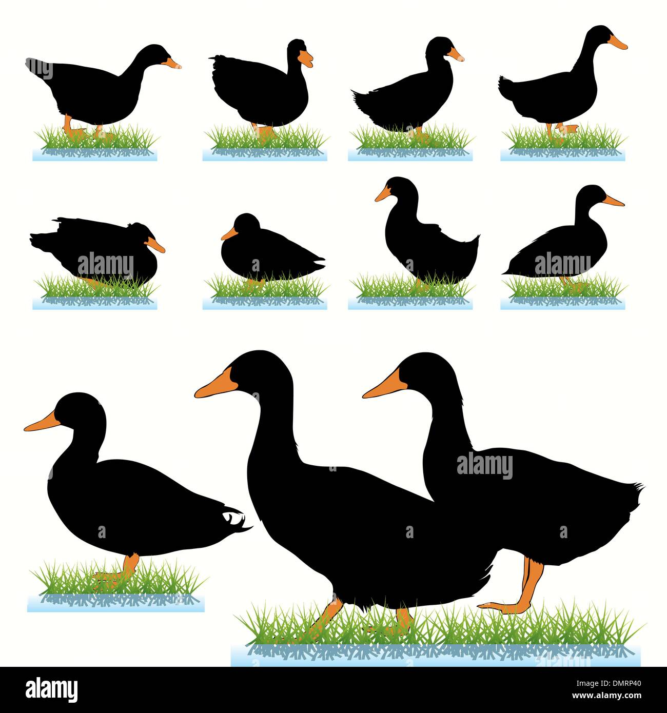11 Ducks Silhouettes Set Stock Vector Image & Art - Alamy