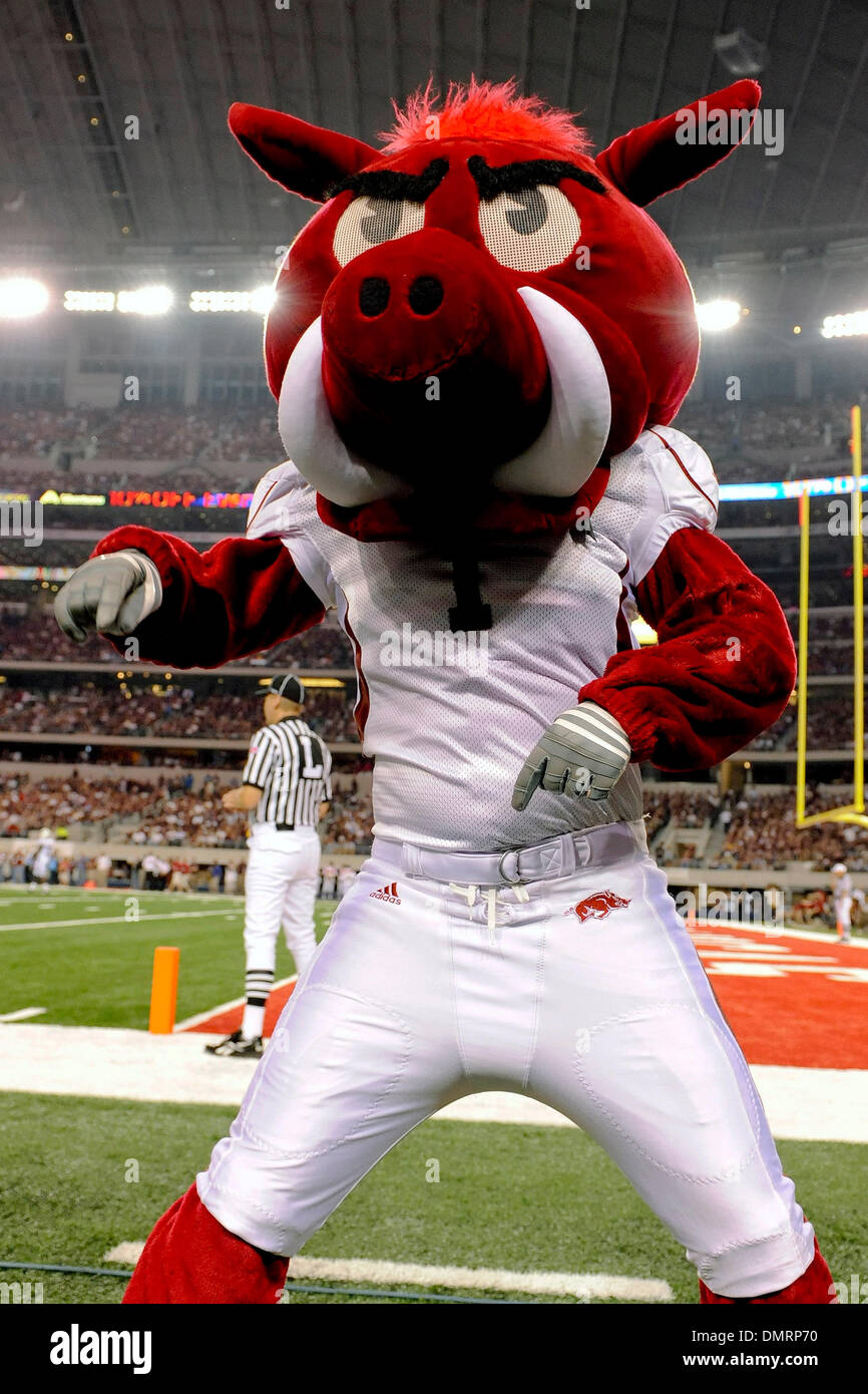 Razorbacks mascot hi-res stock photography and images - Alamy