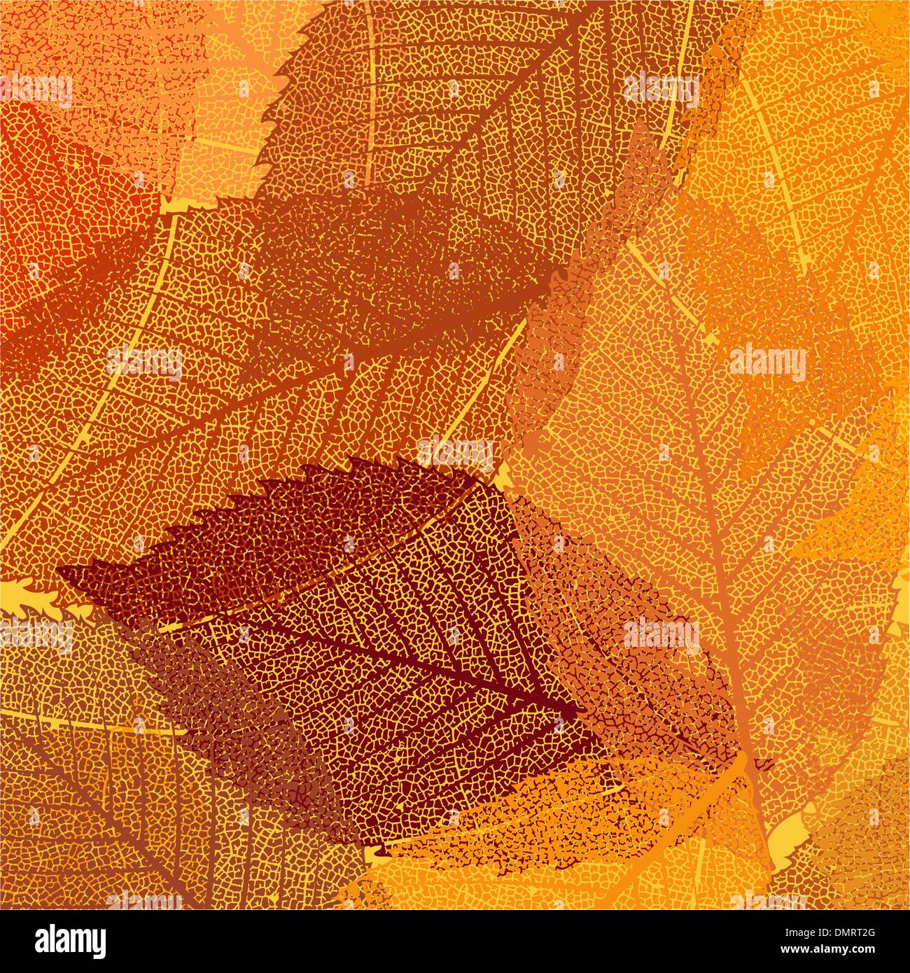 Dry autumn leaves closeup Stock Vector Images - Alamy