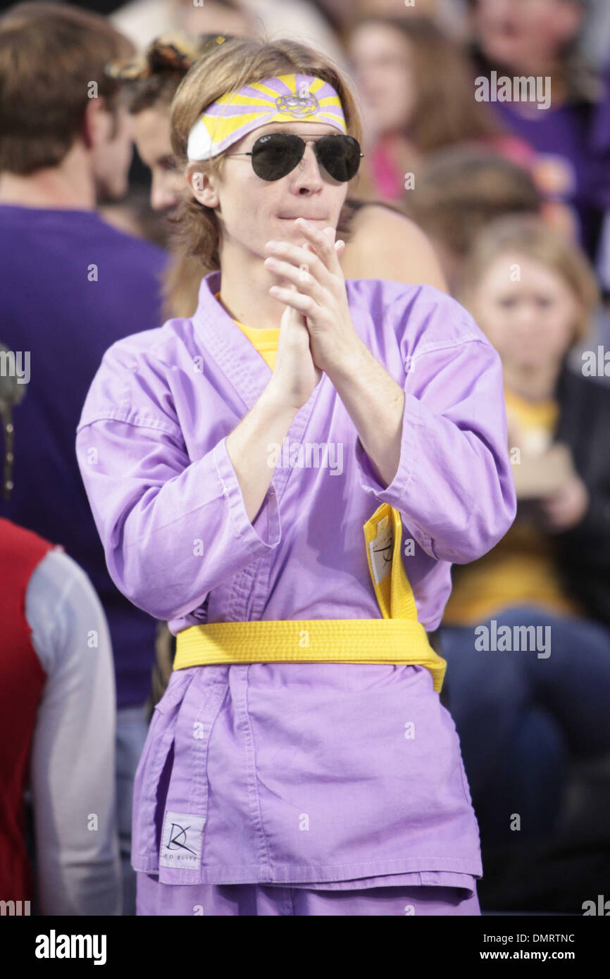 An LSU fan in costume during the game between the Tulane Green Wave and ...