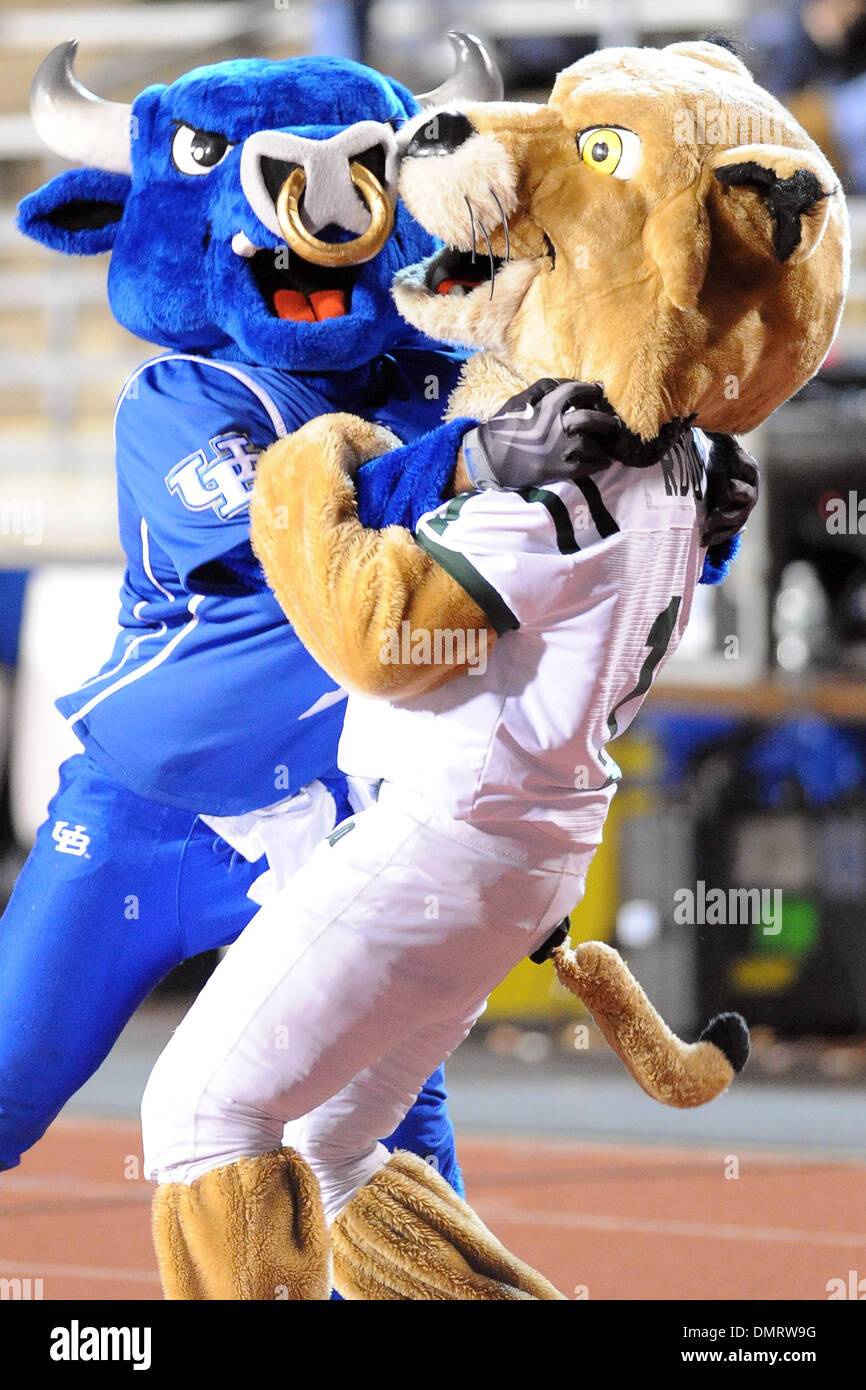 E bull hi-res stock photography and images - Alamy