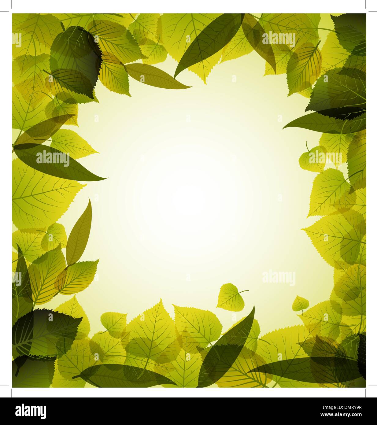 Leaf colour change Stock Vector Images - Alamy