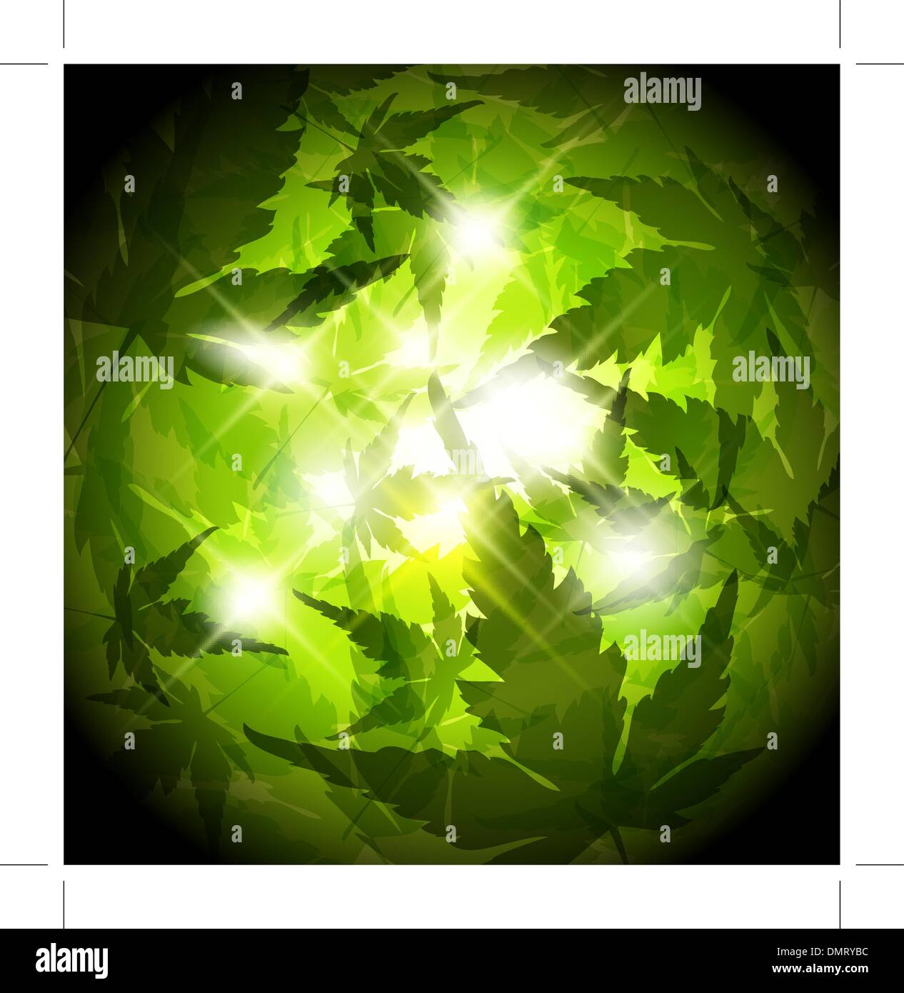 Leaf colour change Stock Vector Images - Alamy