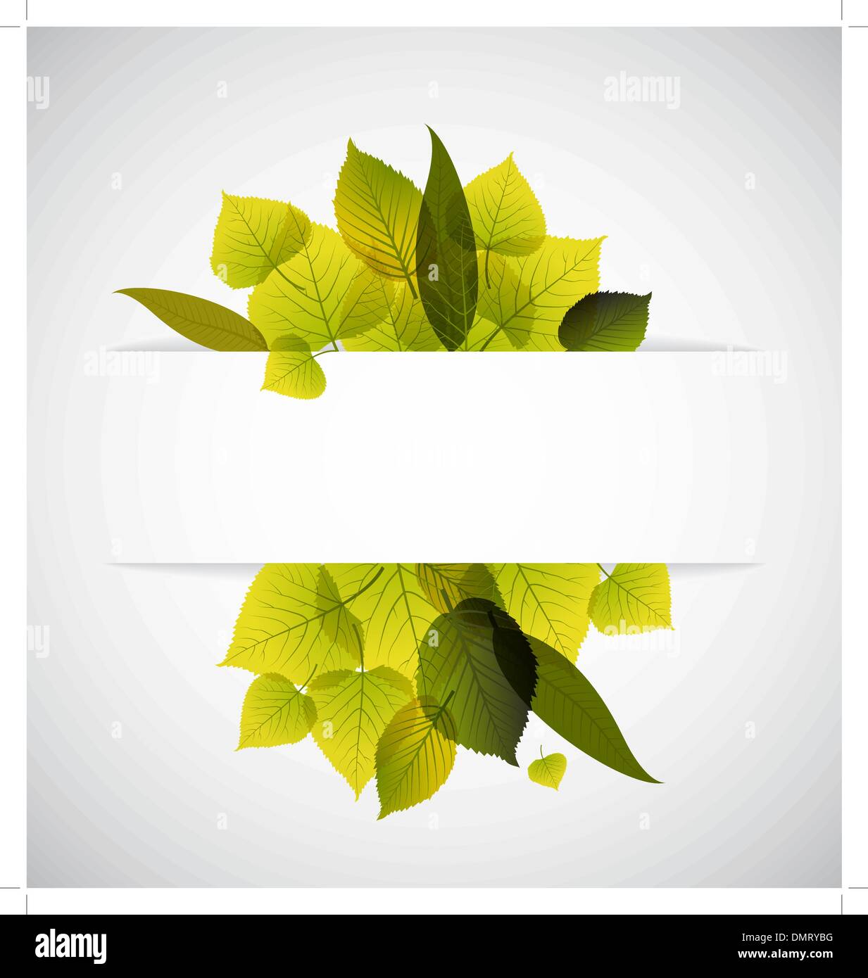 Green leafs white background Stock Vector Images - Alamy