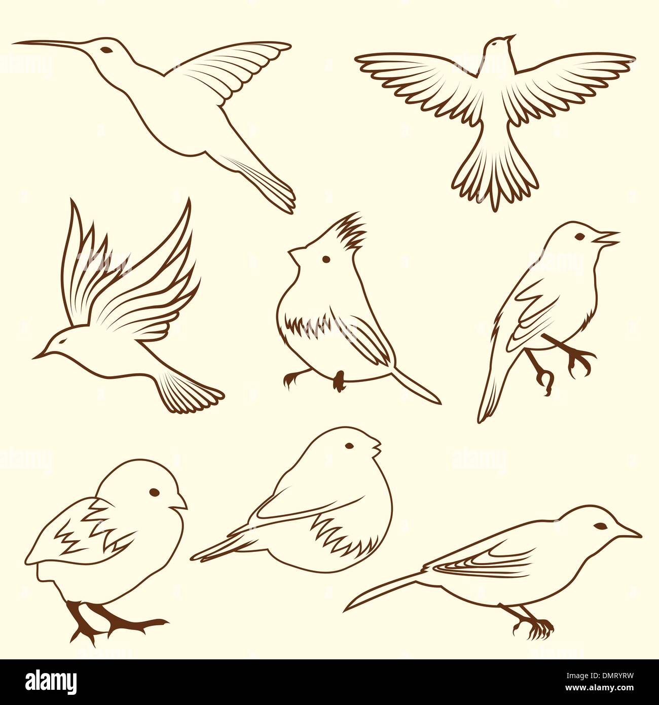 Bullfinch bird sketch design Stock Vector Images - Alamy