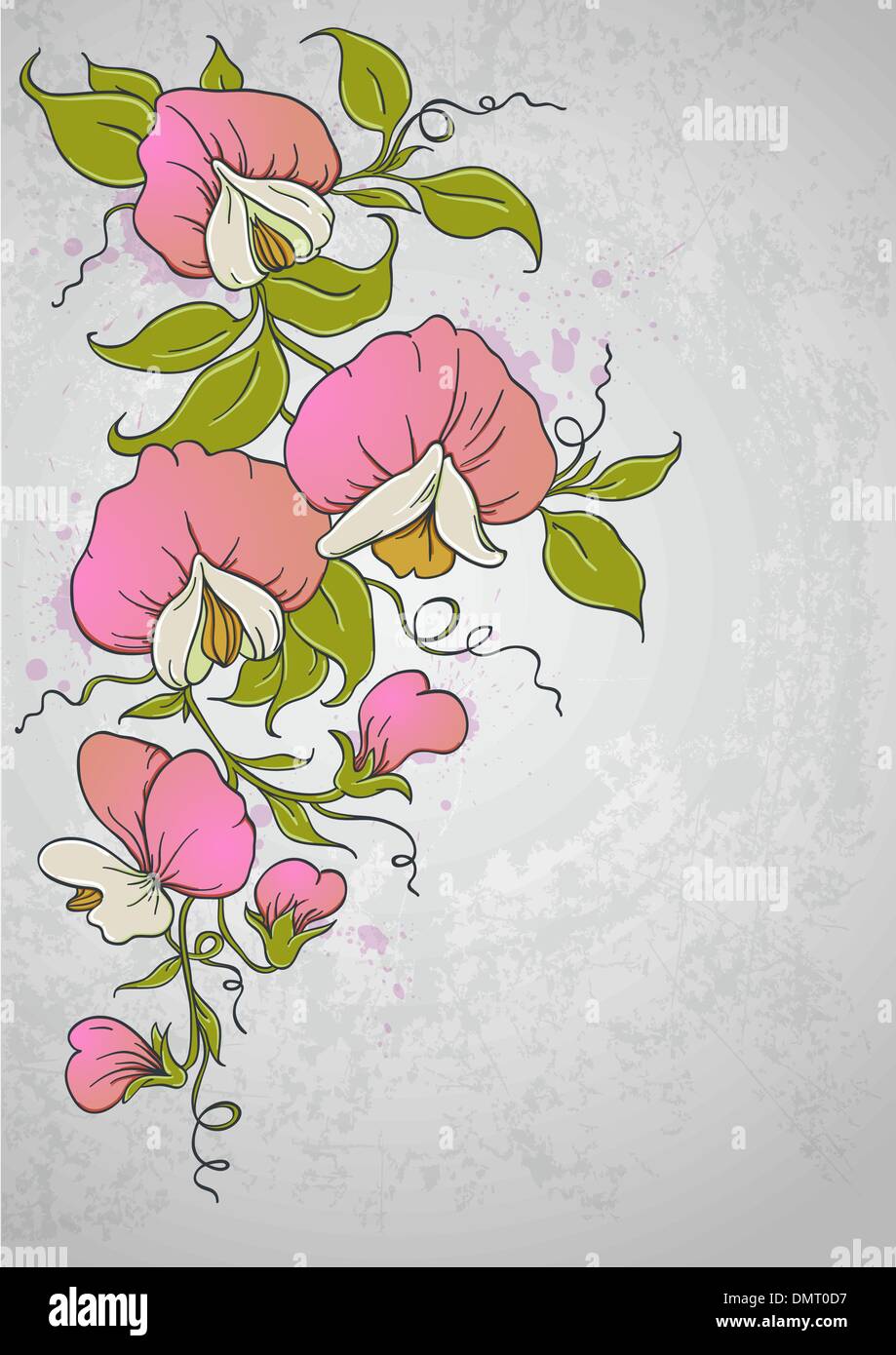 Sweet pea flower Stock Vector Images - Alamy