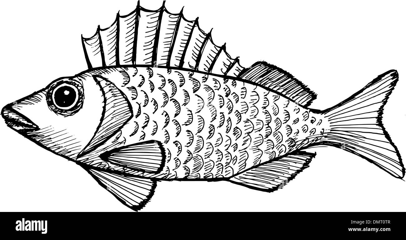 River ruffe hi-res stock photography and images - Alamy