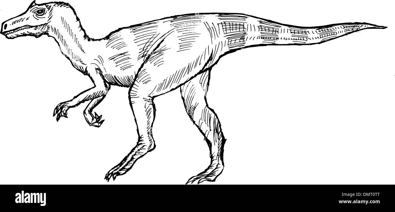 Allosaurus vector vectors Black and White Stock Photos & Images - Alamy