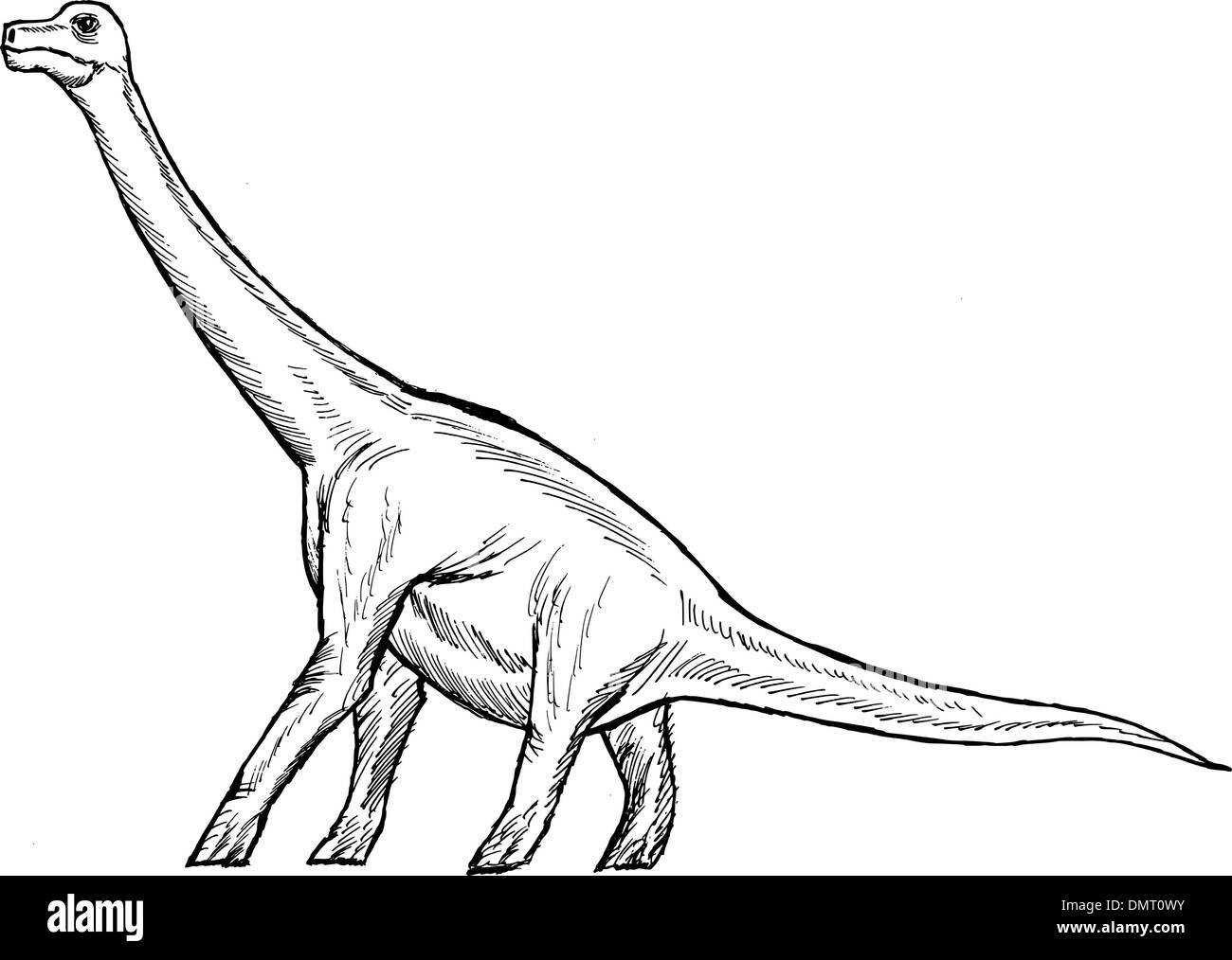 Brachiosaurus dinosaur Black and White Stock Photos & Images - Alamy