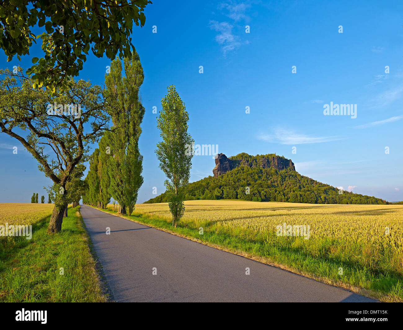 Lilienstein Mountain Near Rathen High Resolution Stock Photography and ...
