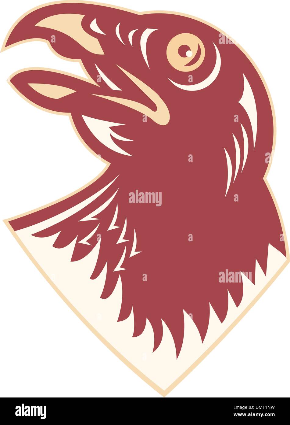 Raptor hawk Stock Vector Images - Alamy