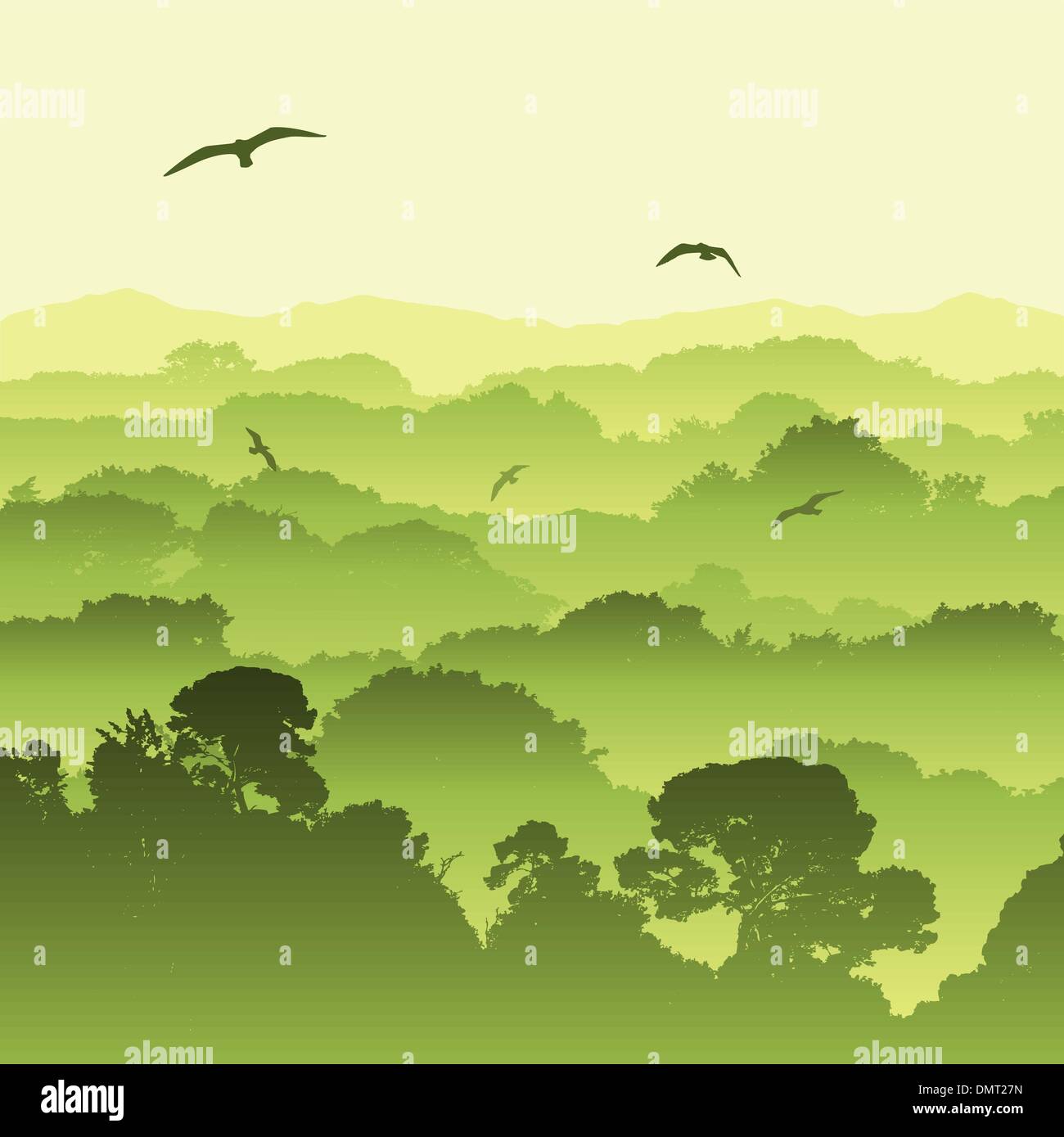 Lush forest vector vectors hi-res stock photography and images - Alamy