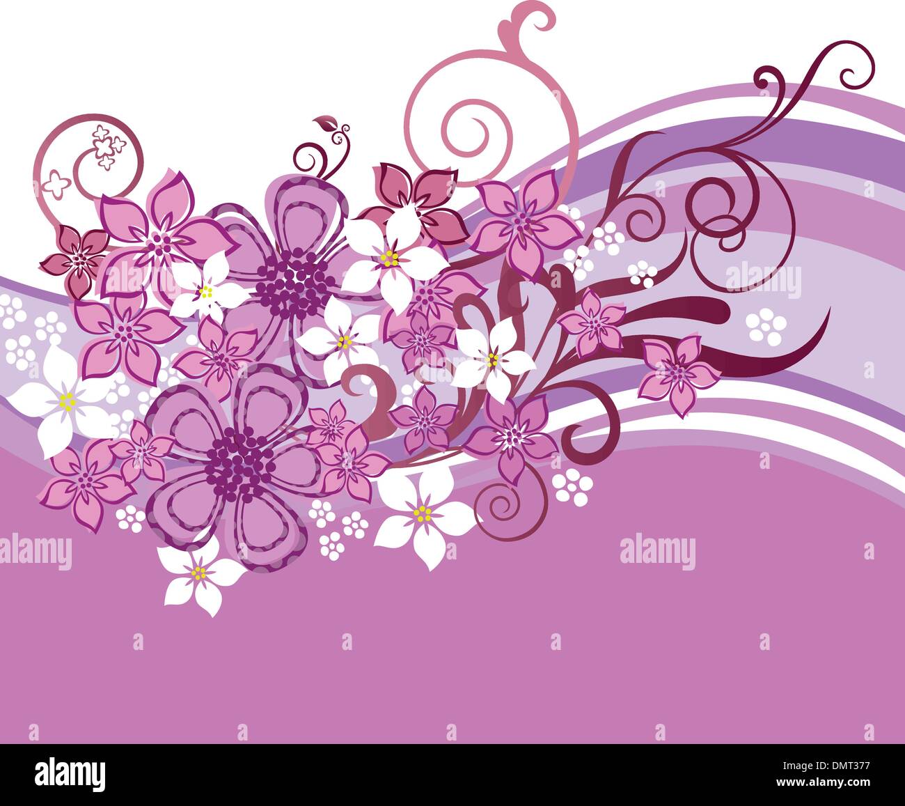 Pink floral banner isolated on white background Stock Vector Image ...