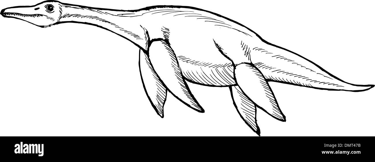 Plesiosaurus vector vectors hi-res stock photography and images - Alamy