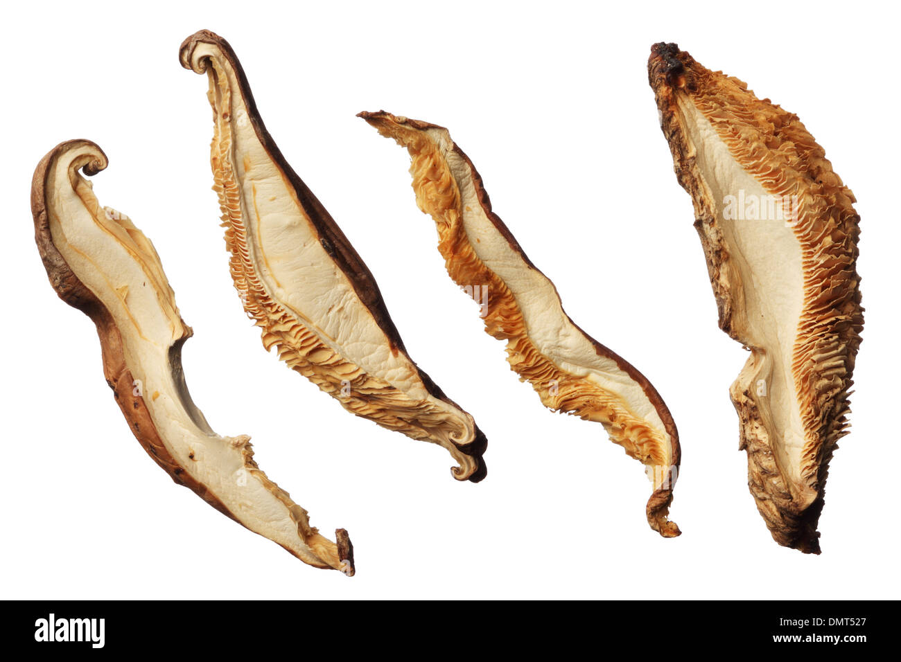 Closeup dried mushroom slices Cut Out Stock Images & Pictures - Alamy