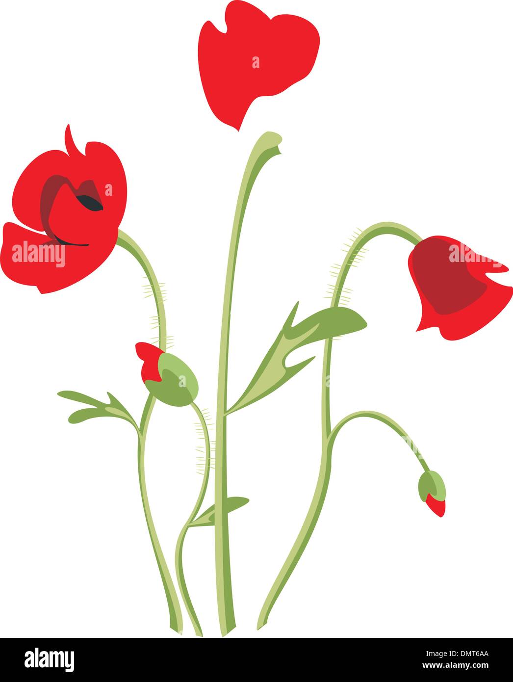 Poppy red flowers Stock Vector Images - Alamy