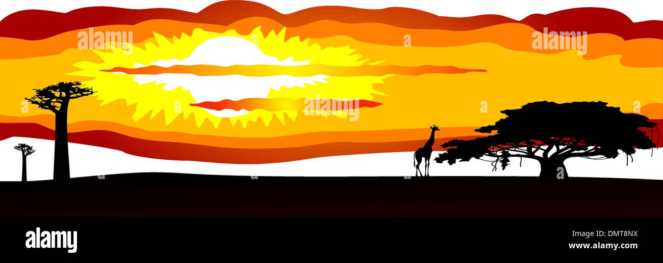 africa sunset - vector Stock Vector Image & Art - Alamy