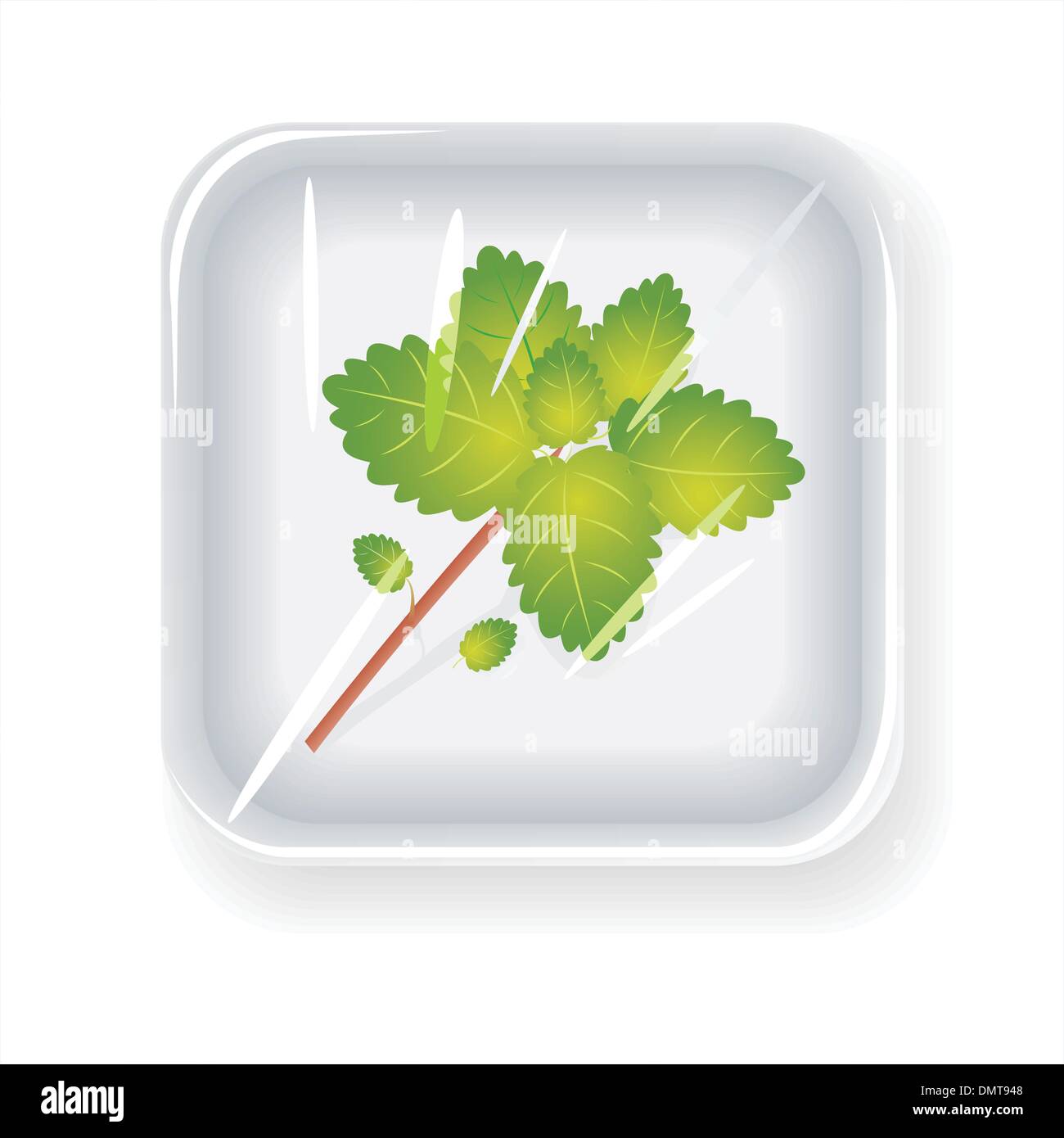 Food background lemon mint Stock Vector Images - Alamy