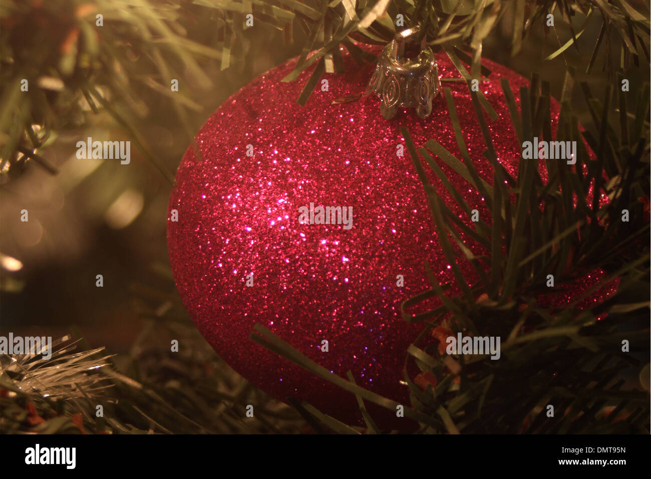 Tree as bulb hi-res stock photography and images - Alamy