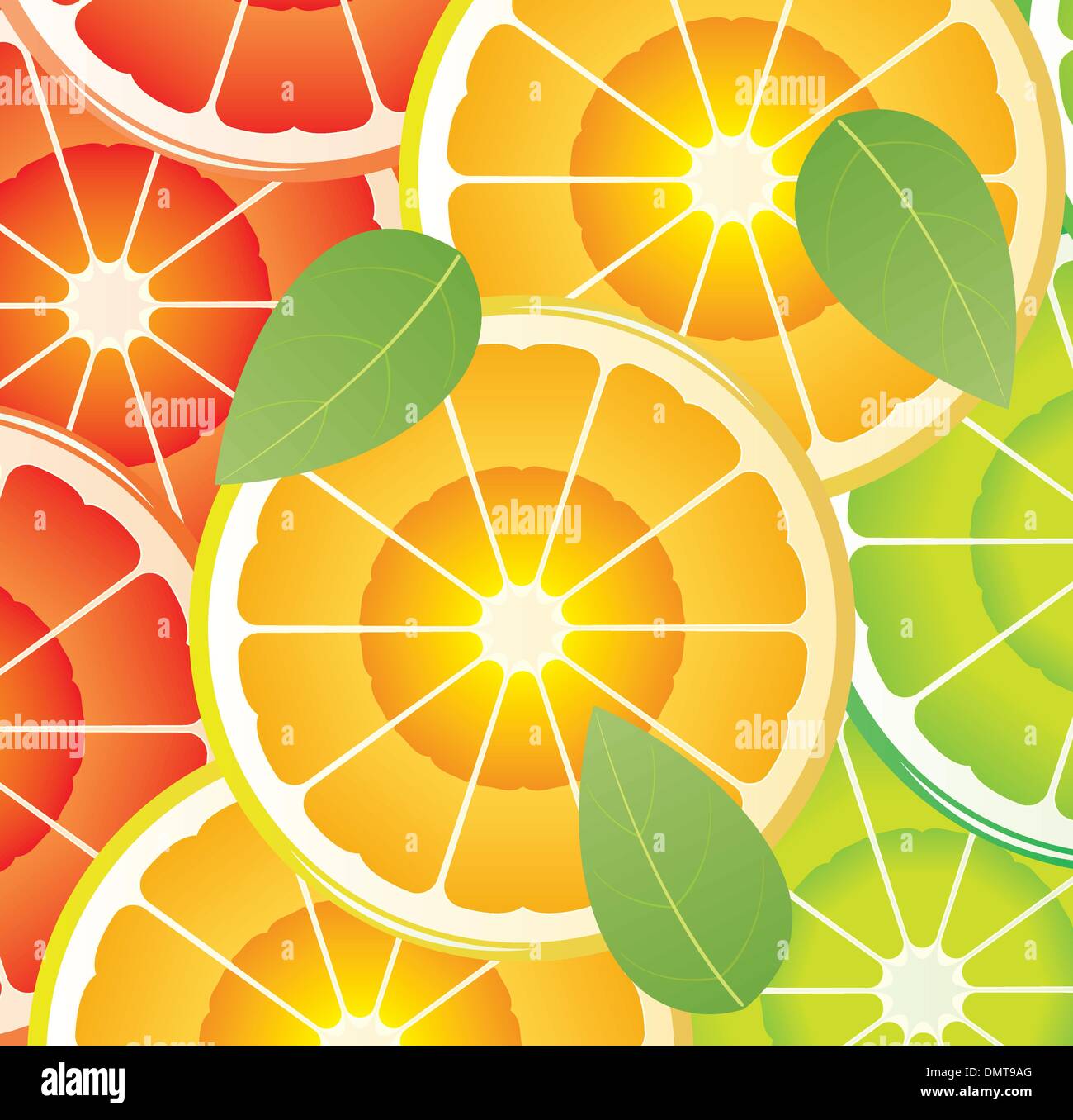 Citrus Stock Vector Images - Alamy