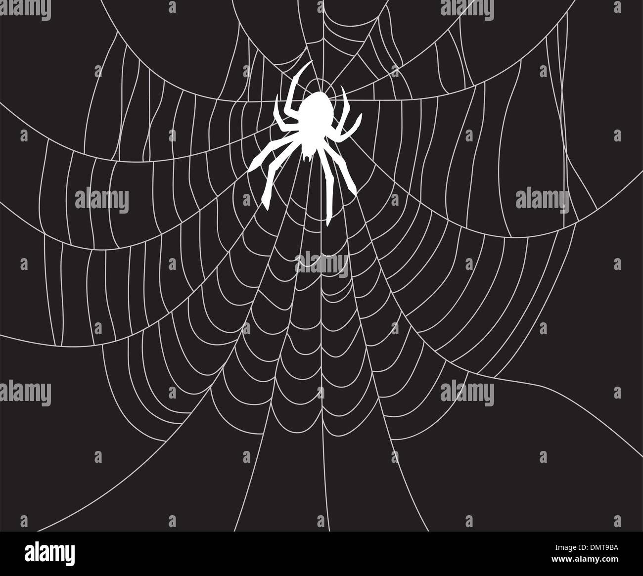 Cartoon spider web hi-res stock photography and images - Alamy