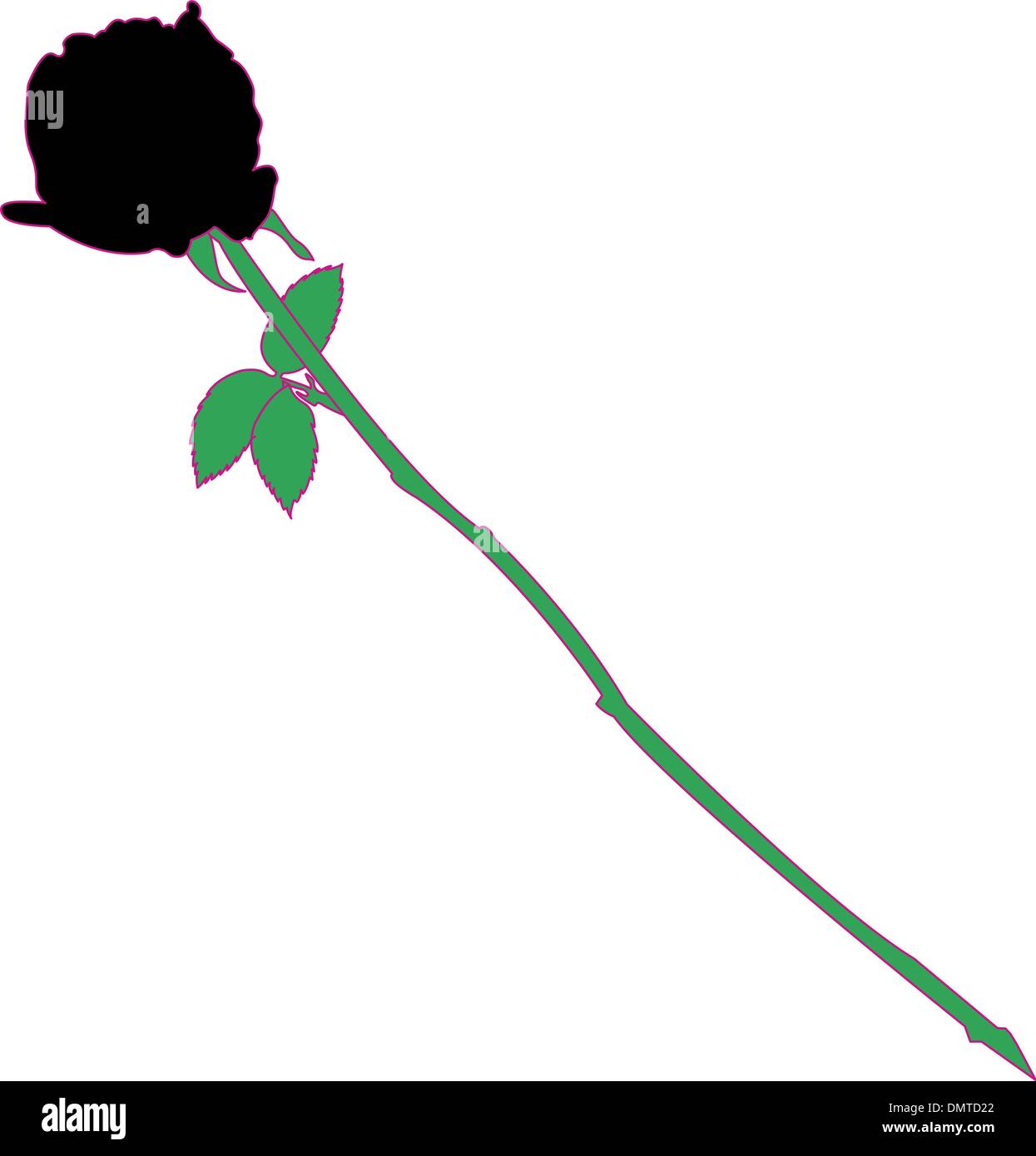 Grow rose Stock Vector Images - Alamy