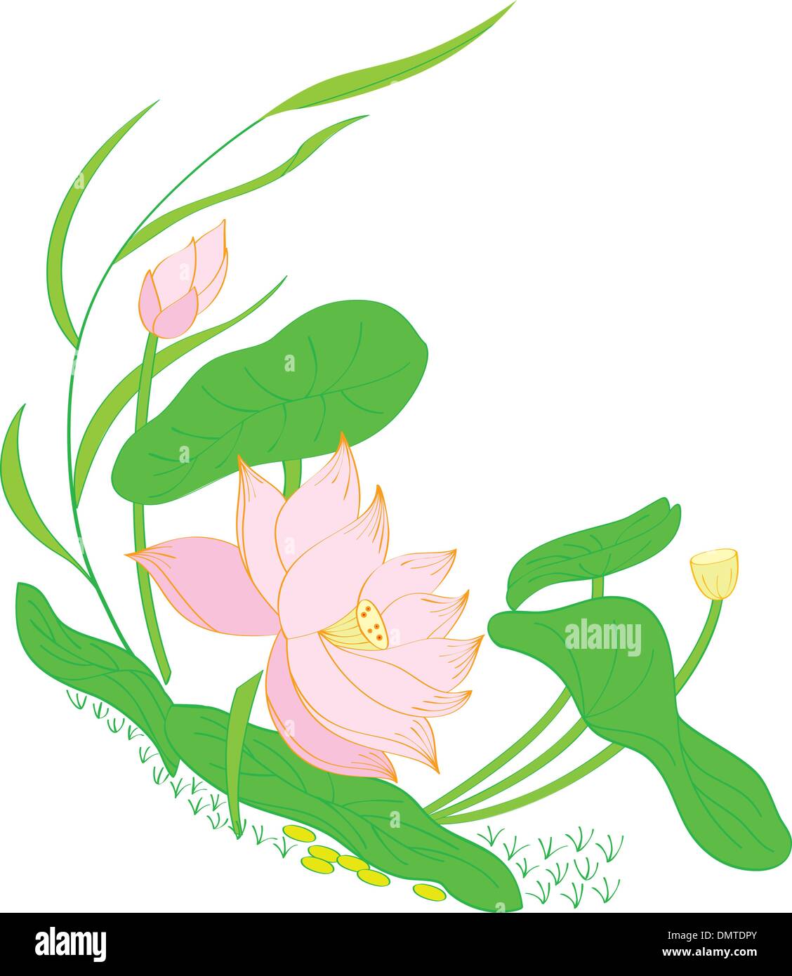 Water lily Stock Vector Images - Alamy