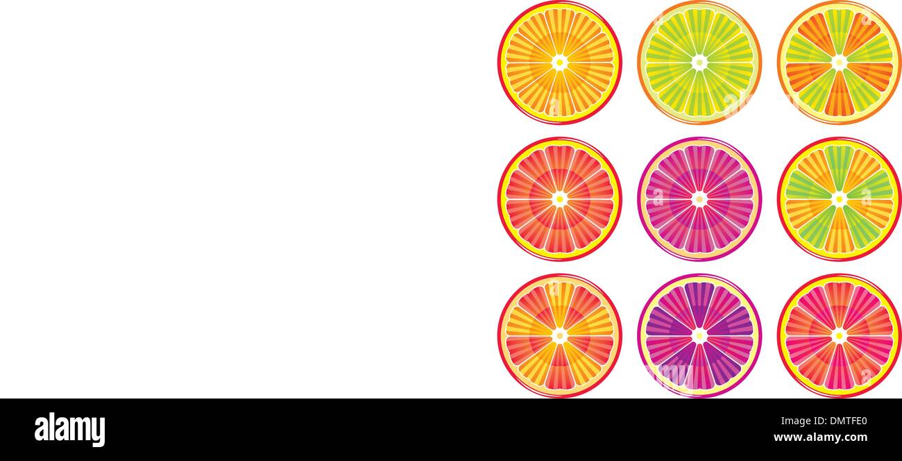 vector colorful citrus slices Stock Vector Image & Art - Alamy