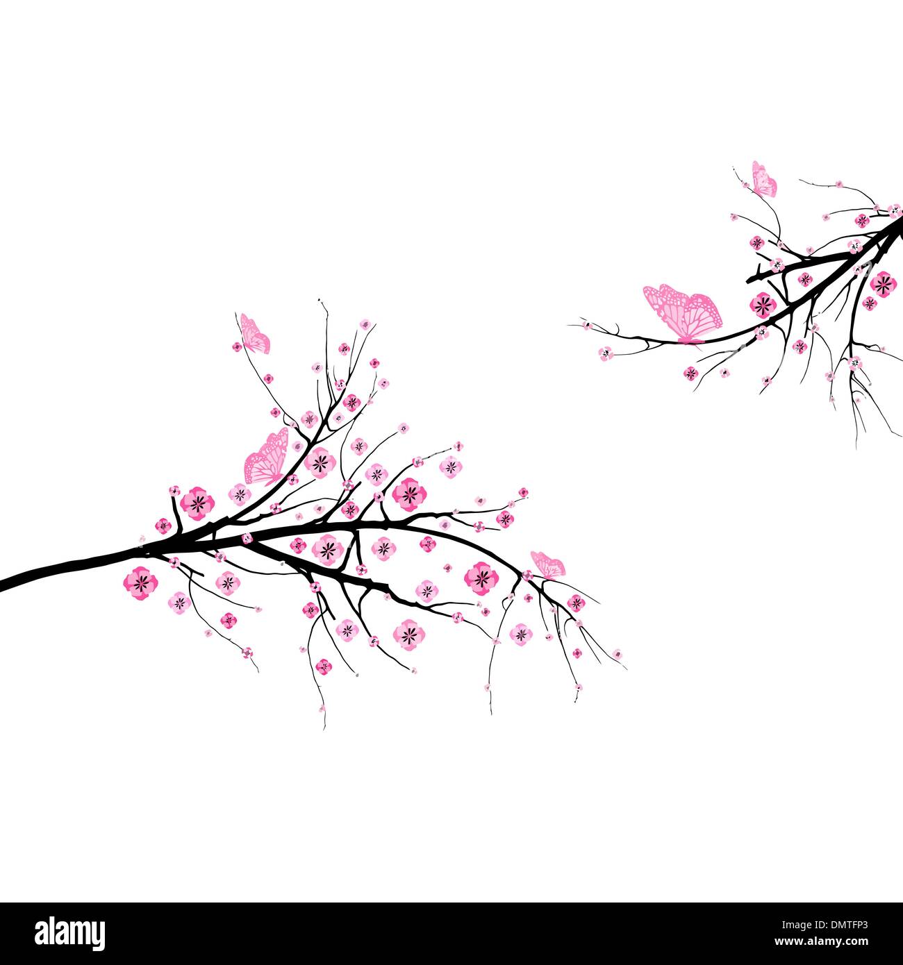 Chinese cherry blossom Cut Out Stock Images & Pictures - Alamy