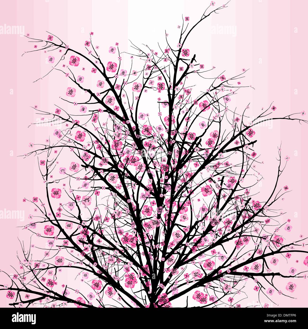 Detail blooming cherry blossom Stock Vector Images - Alamy