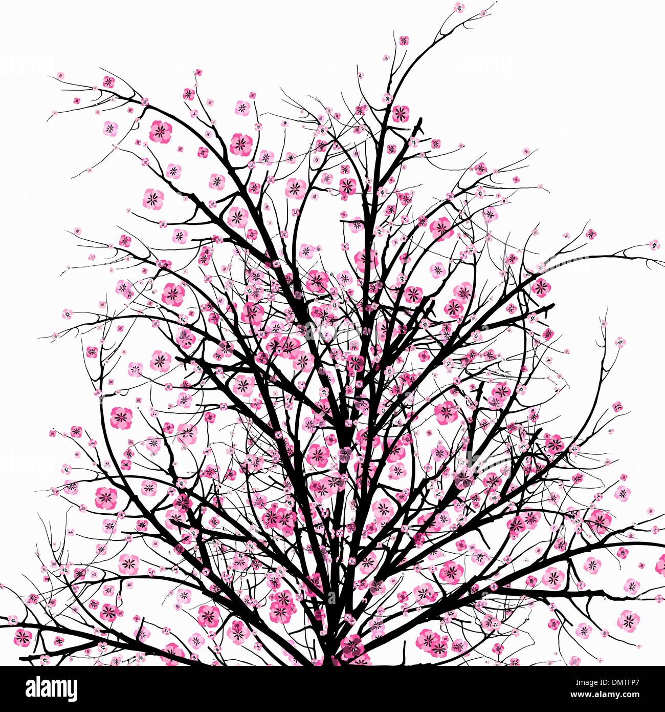 Cherry tree silhouette vector image hi-res stock photography and images ...