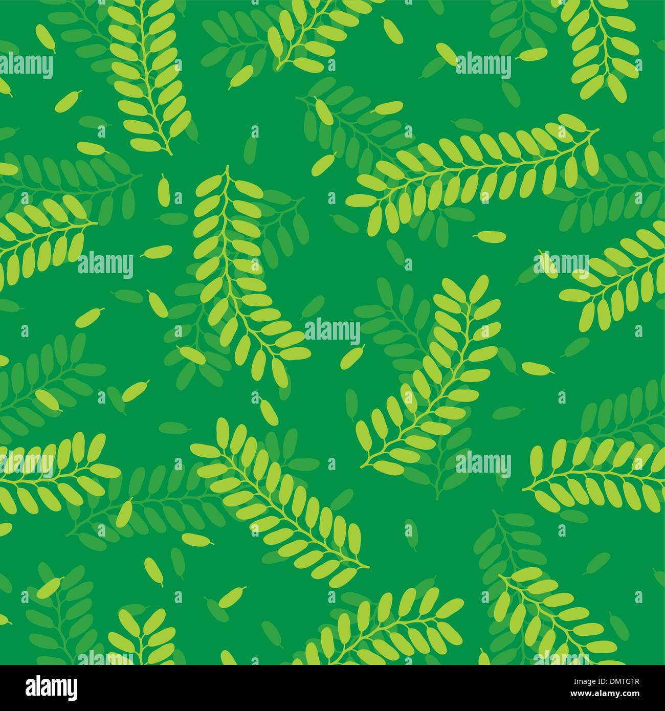 Wallpaper of tamarind leaves Stock Vector Images - Alamy