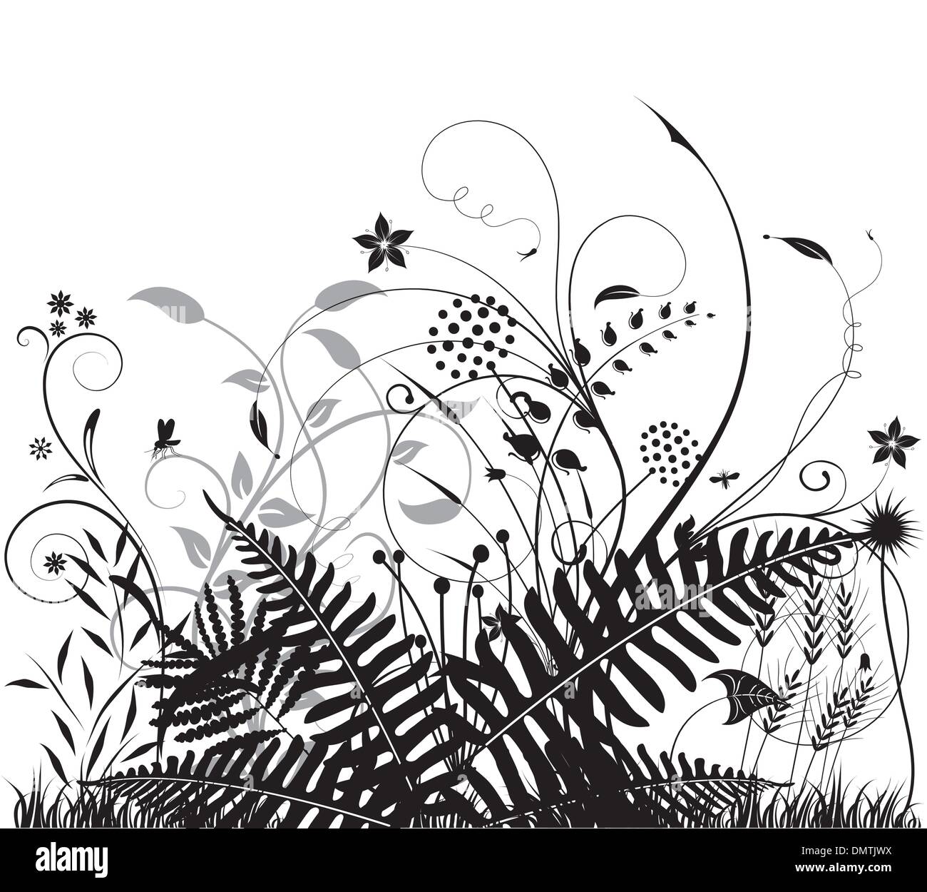 Plants and ferns Stock Vector Image & Art - Alamy