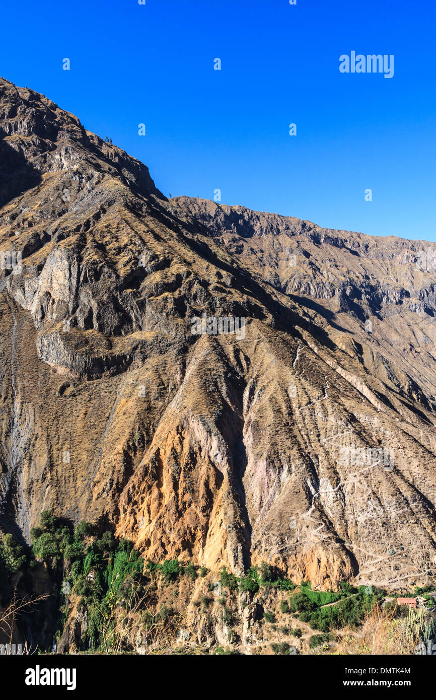 Canyon del Colca, Peru Stock Photo - Alamy