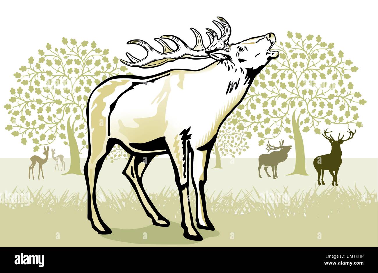 deer in the rut Stock Vector Image & Art - Alamy