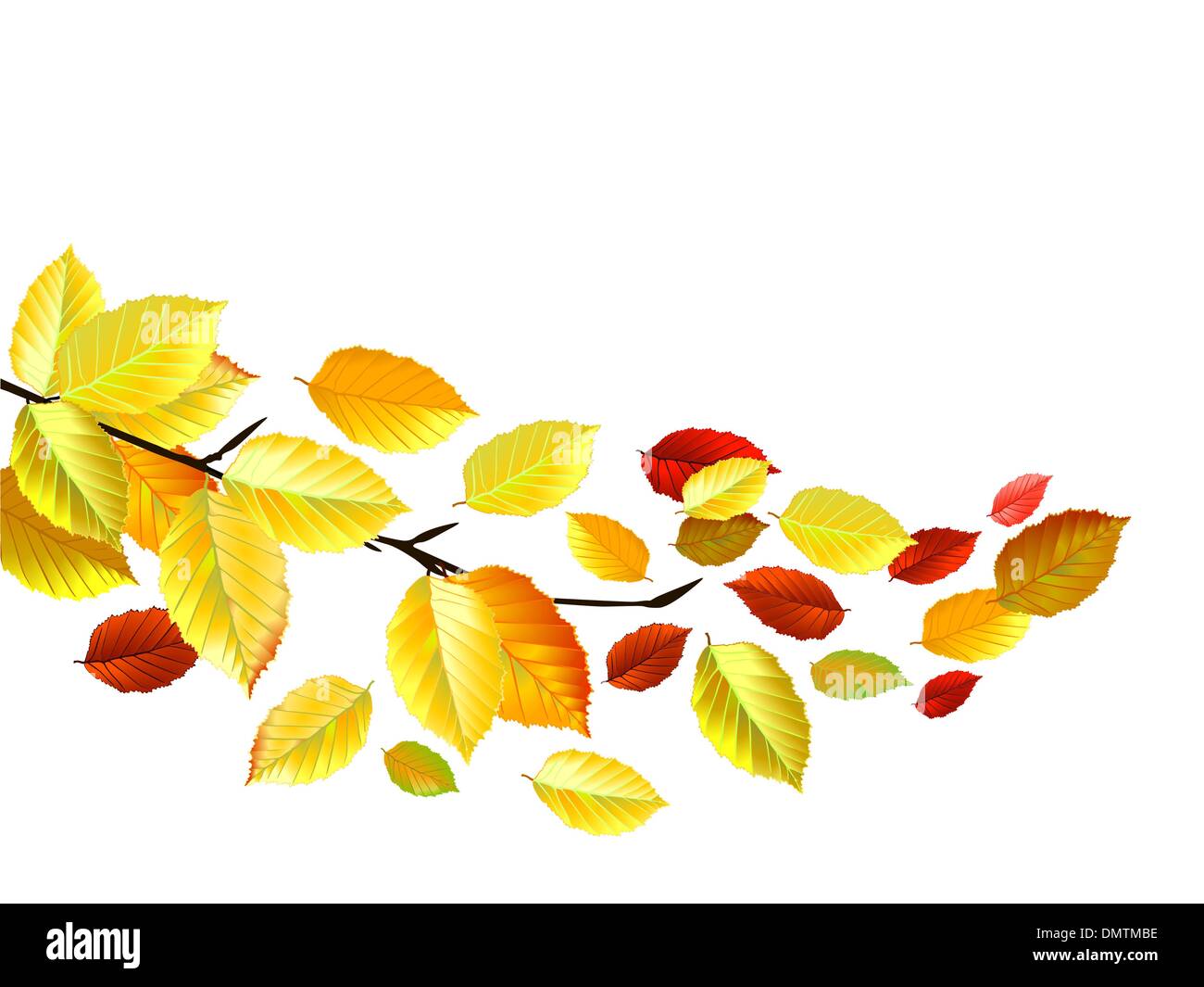 Autumn Leaves in October Stock Vector Image & Art - Alamy