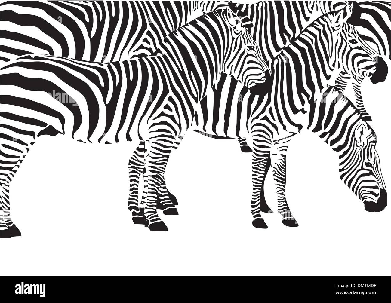 Masai pattern vectors hi-res stock photography and images - Alamy