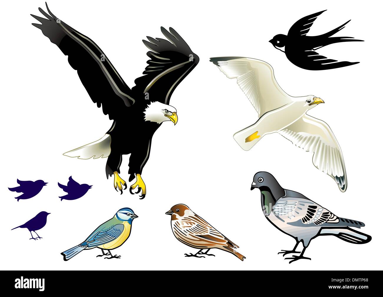 Birds Stock Vector Images - Alamy