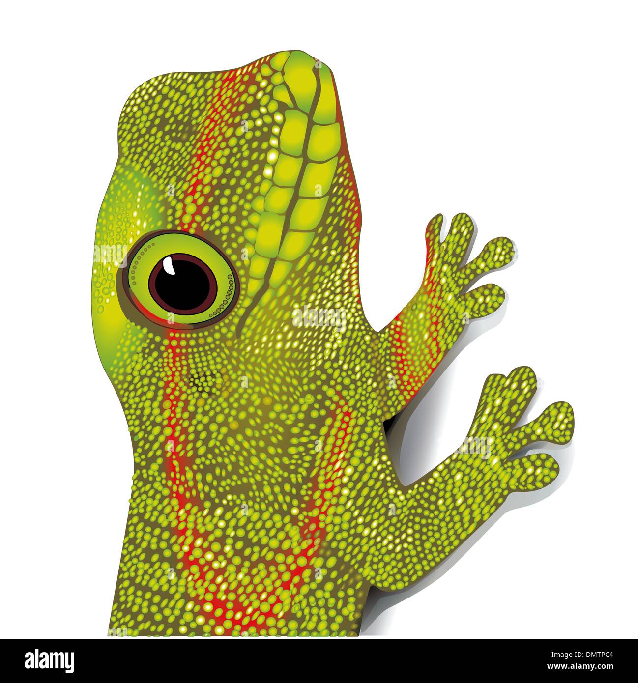 Gecko vector vectors hi-res stock photography and images - Alamy