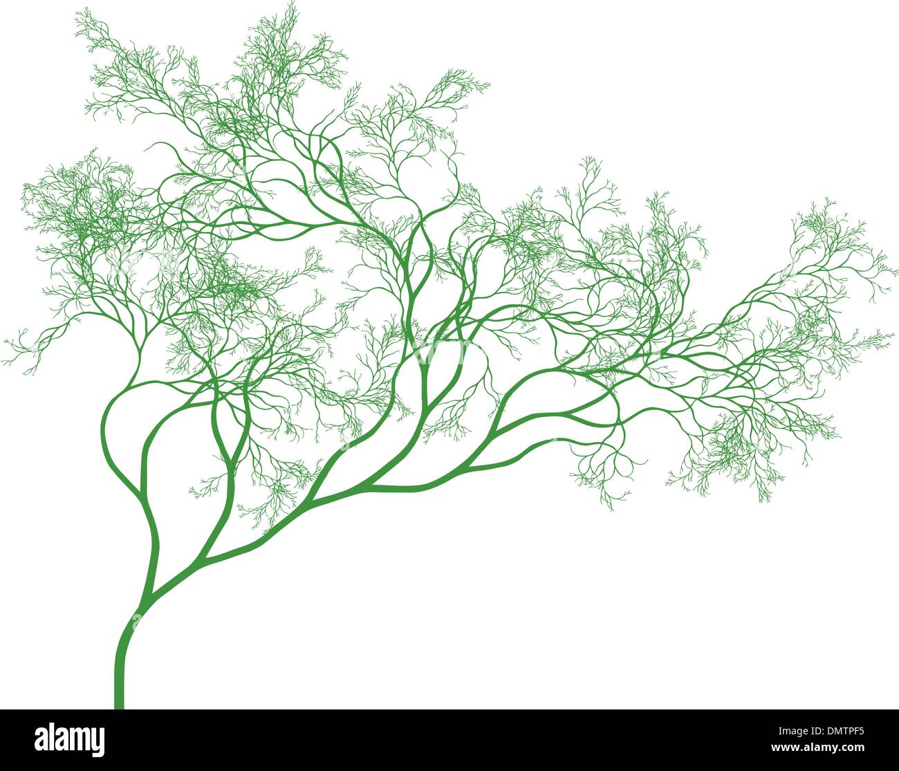 White twig tree Stock Vector Images - Alamy