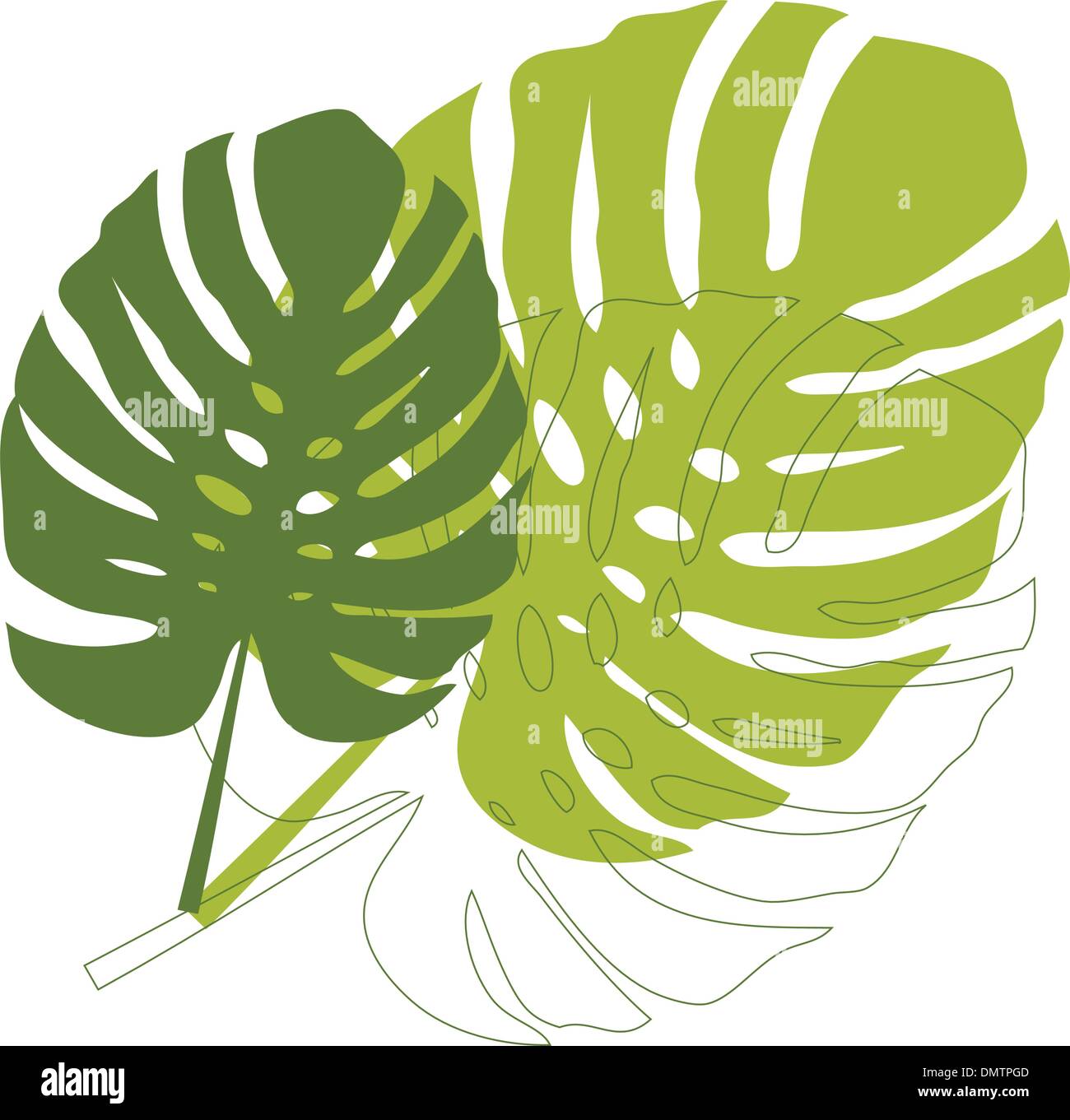 Split Leaf Philodendron Clipart