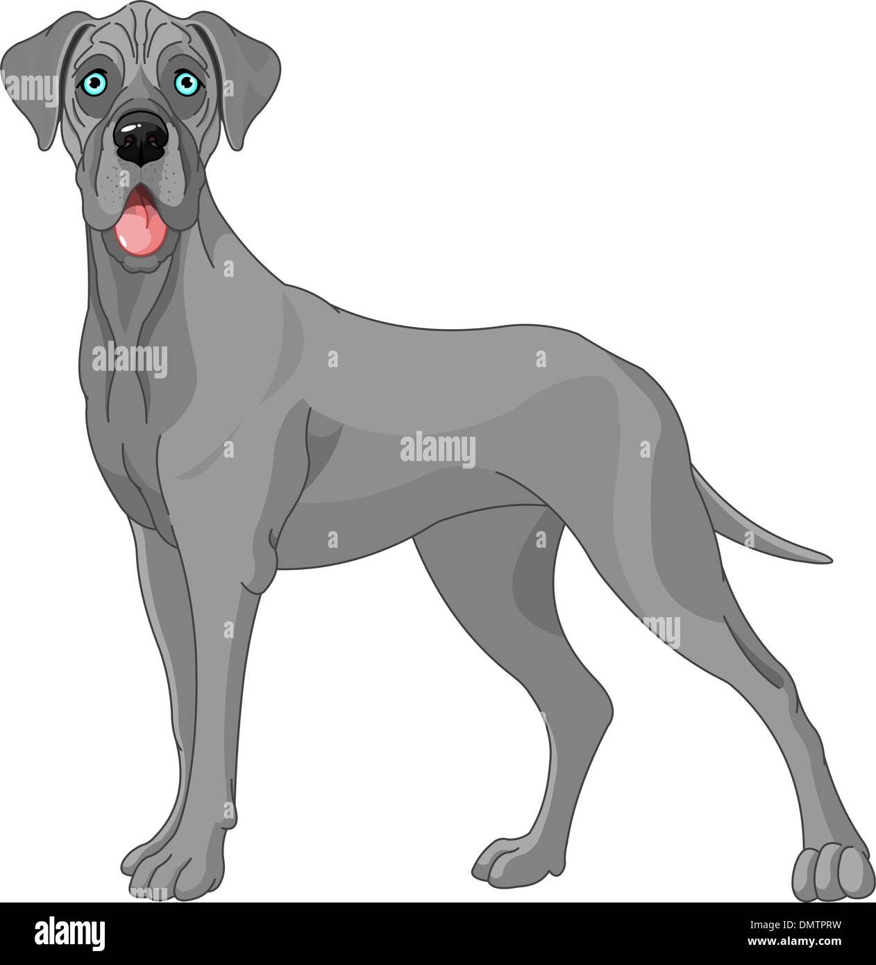 Front view dog standing Stock Vector Images - Alamy