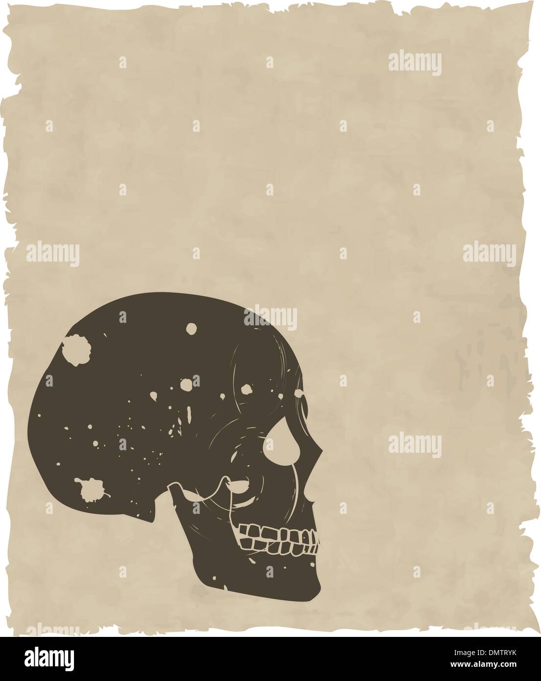 Old drawing of skeleton Stock Vector Images - Alamy