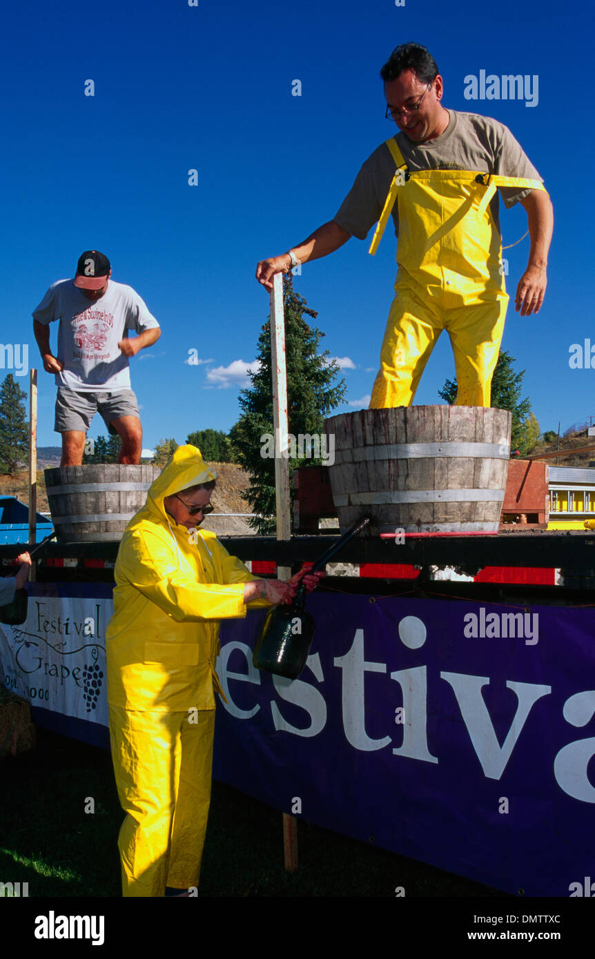 Grape Stomping Competition at Festival of the Grape, Oliver, BC ...