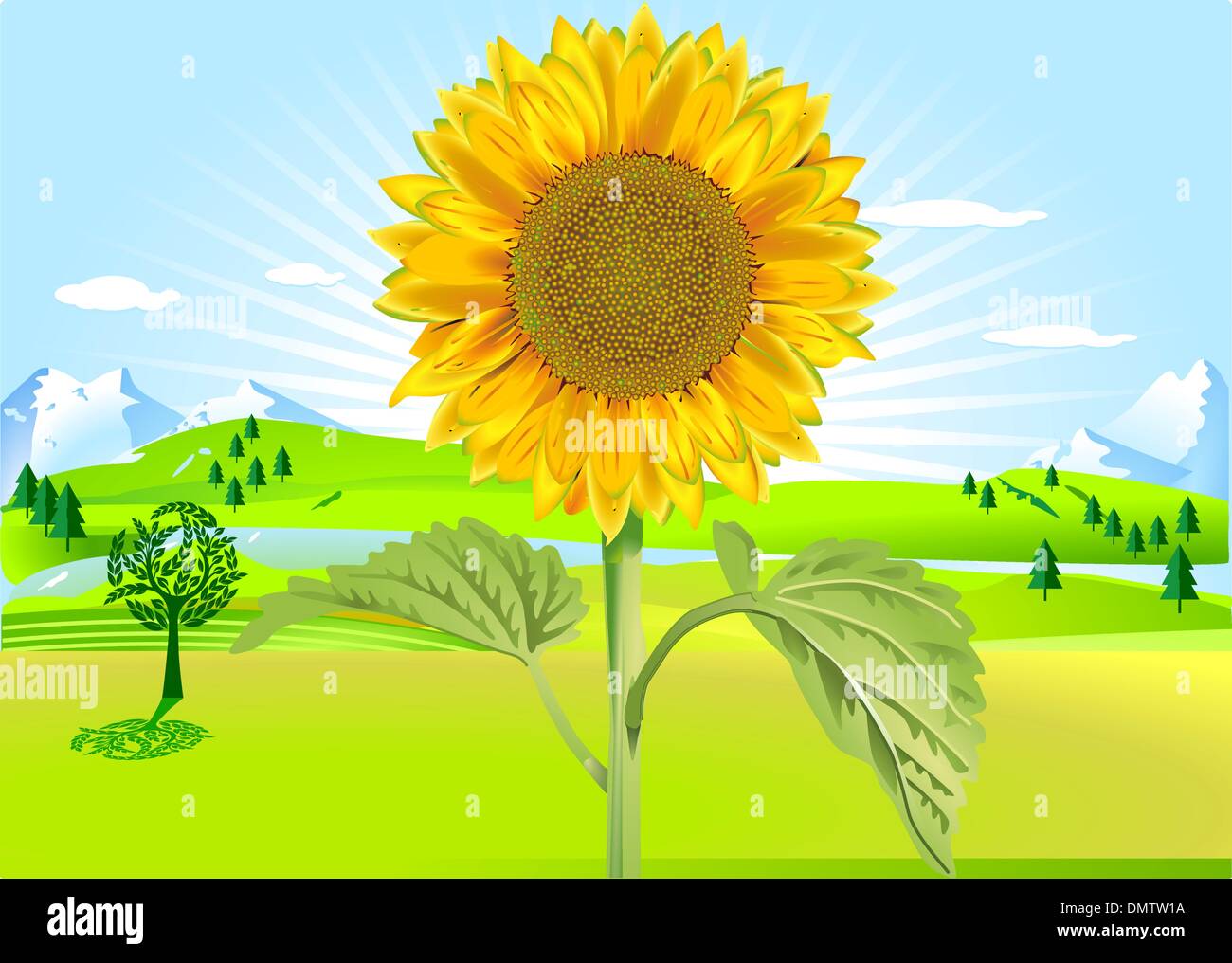 Yellow sunflower oil in Stock Vector Images - Alamy