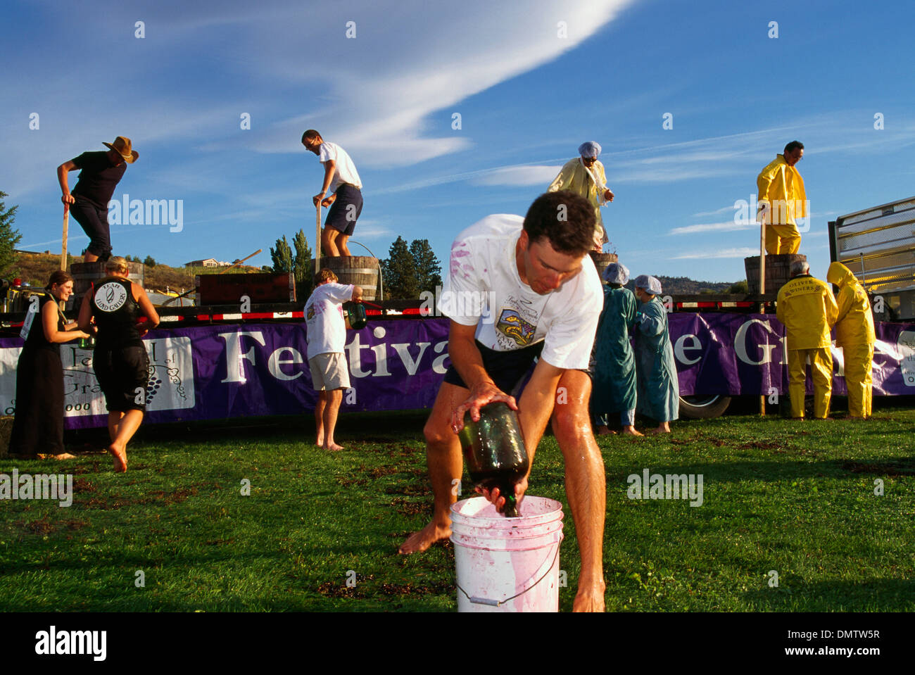 Grape Stomping Contest Stock Photos & Grape Stomping Contest Stock ...