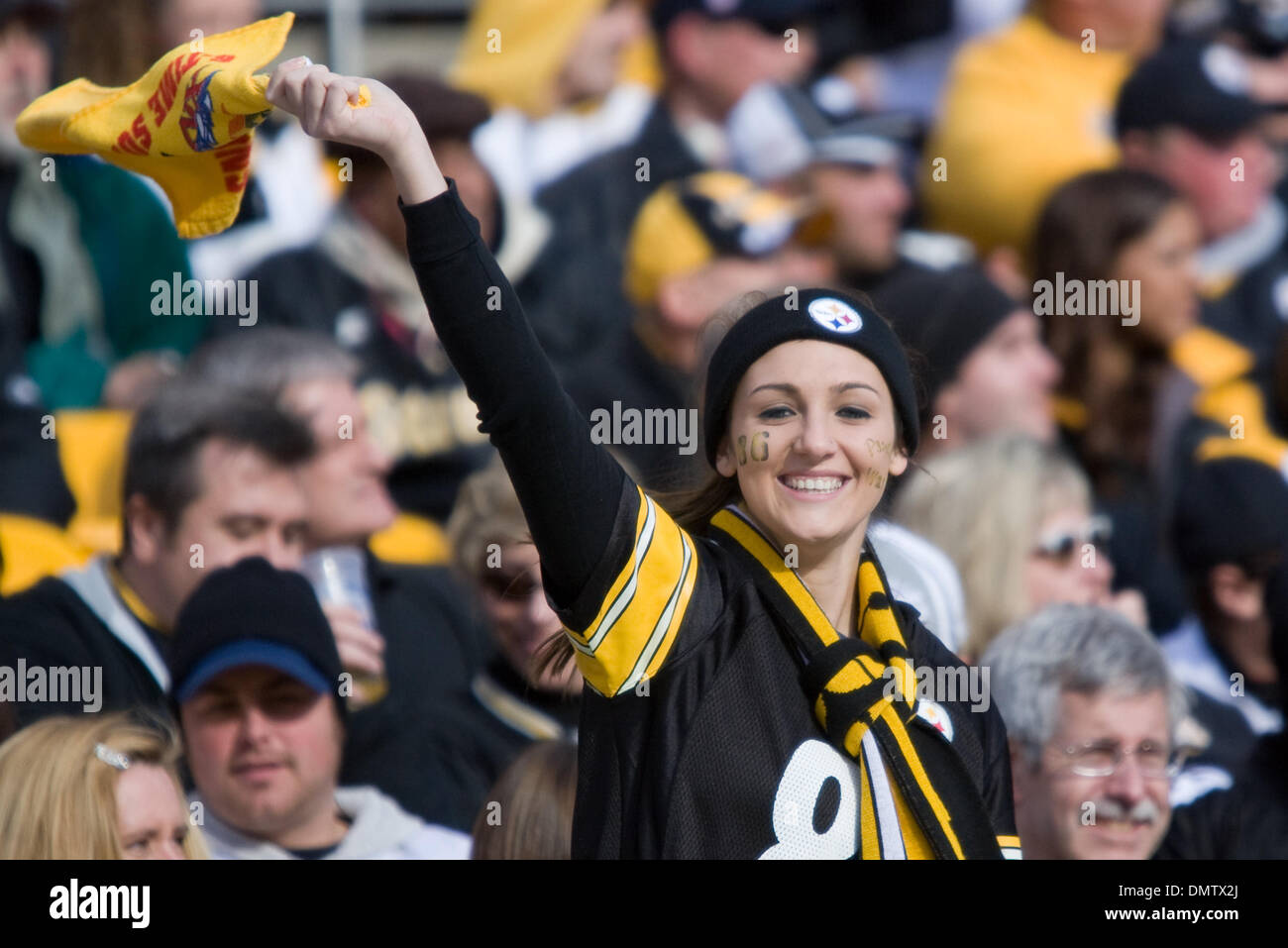 18 October 2009: A Steelers fan during the NFL football game between ...