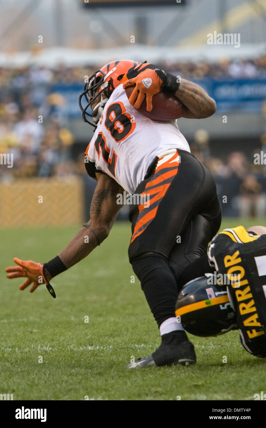 Cincinnati bengals bernard scott 28 hi-res stock photography and images ...