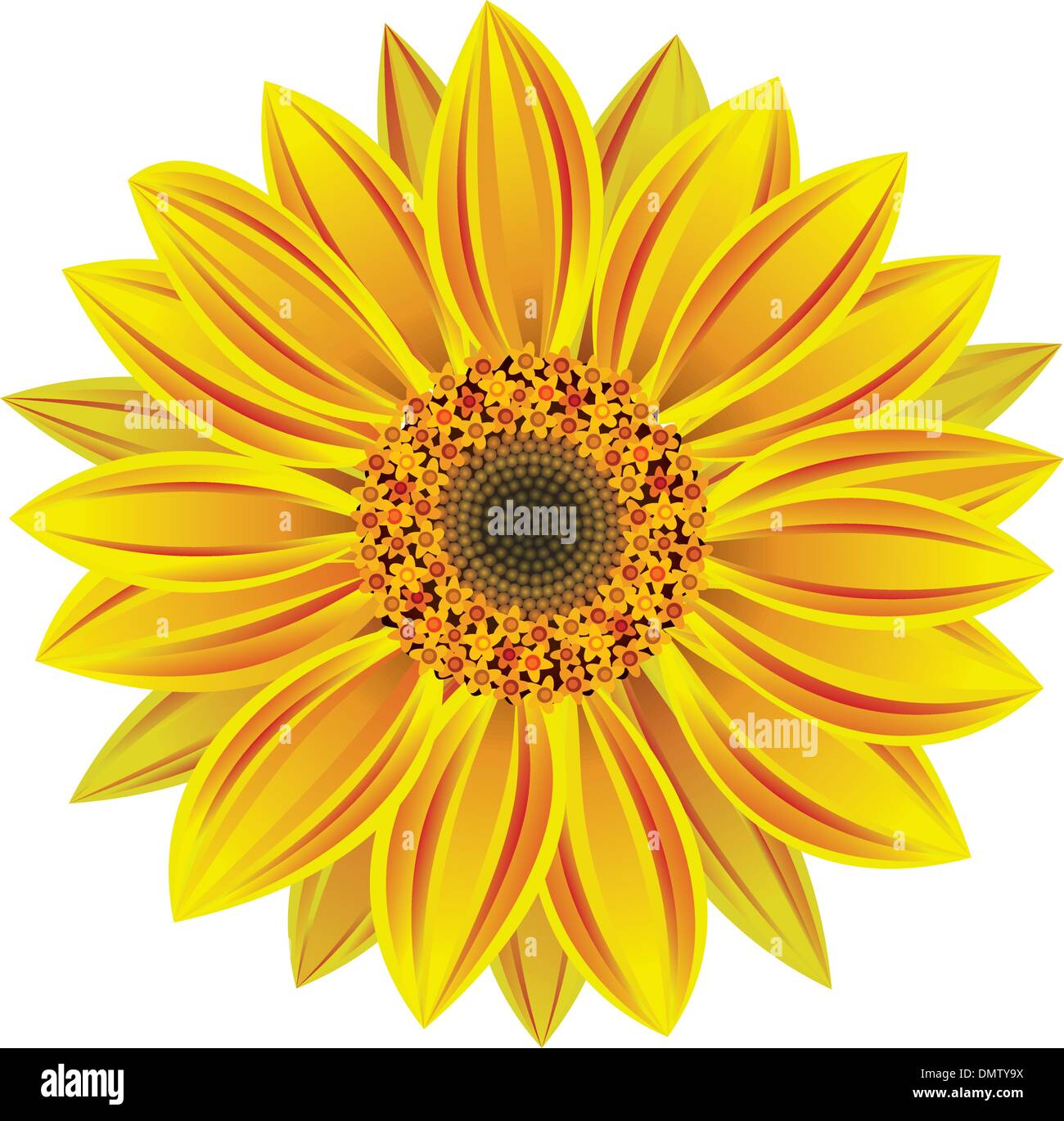 Yellow sunflower black color Stock Vector Images - Alamy